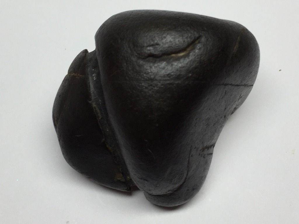 Possibly a First Nations tool? | TreasureNet 🧭 The Original Treasure Hunting Website